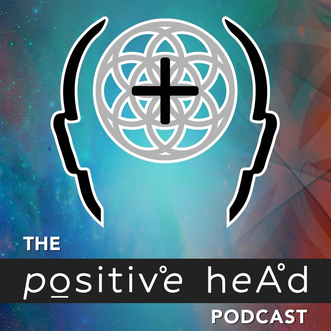 Positive Head Podcast 18-Nick Polizzi | The Positive Head Podcast Podcast