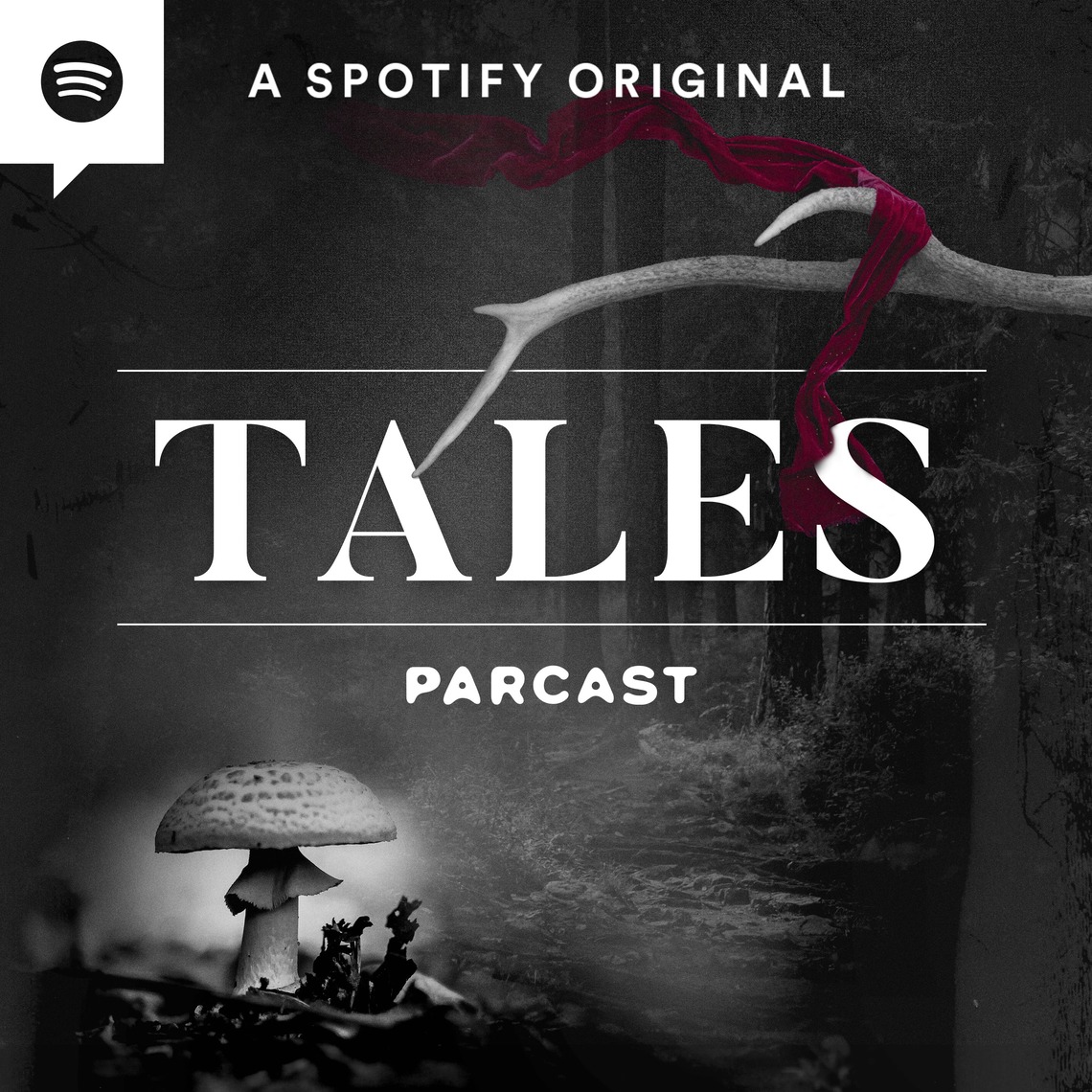 The Story of the Yara | Tales Podcast