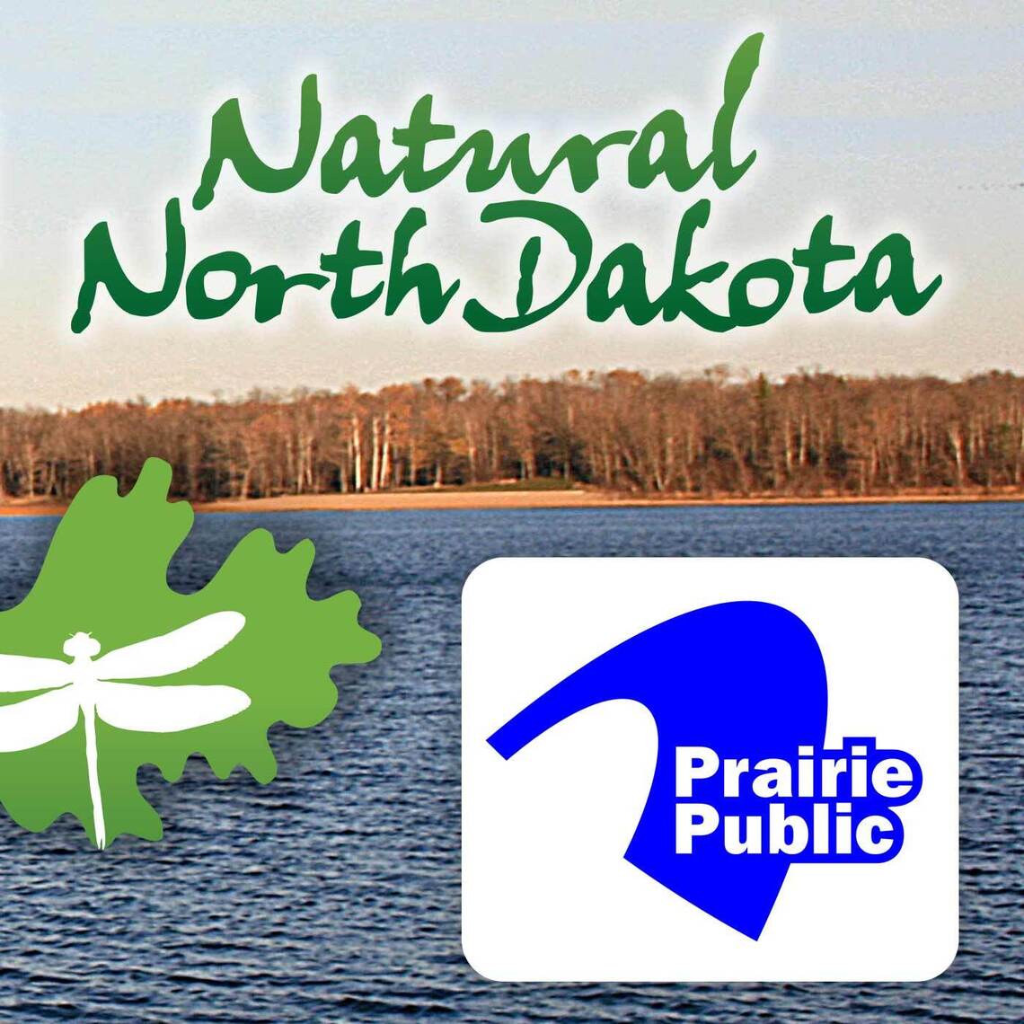 Mima Mounds in Rolette County | Natural North Dakota Podcast
