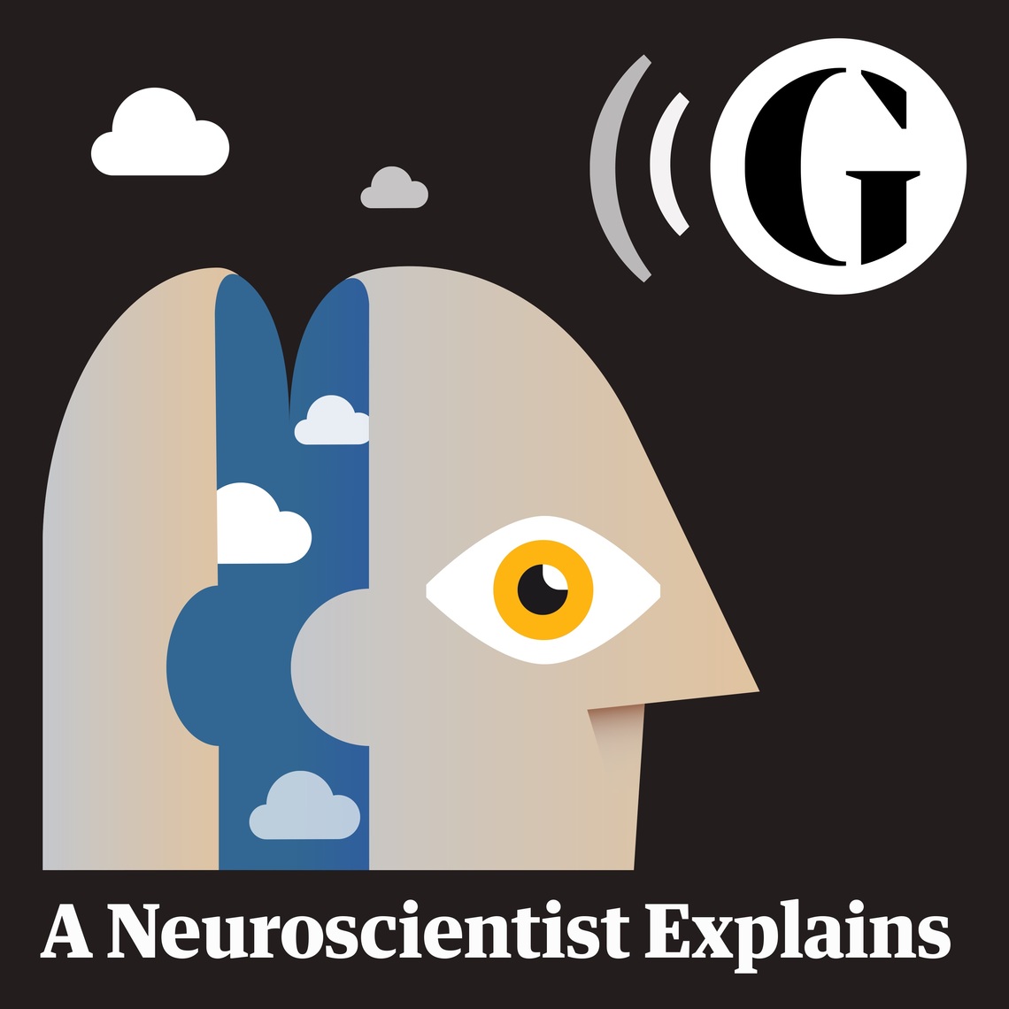 A Neuroscientist Explains: psychology's replication crisis | A ...