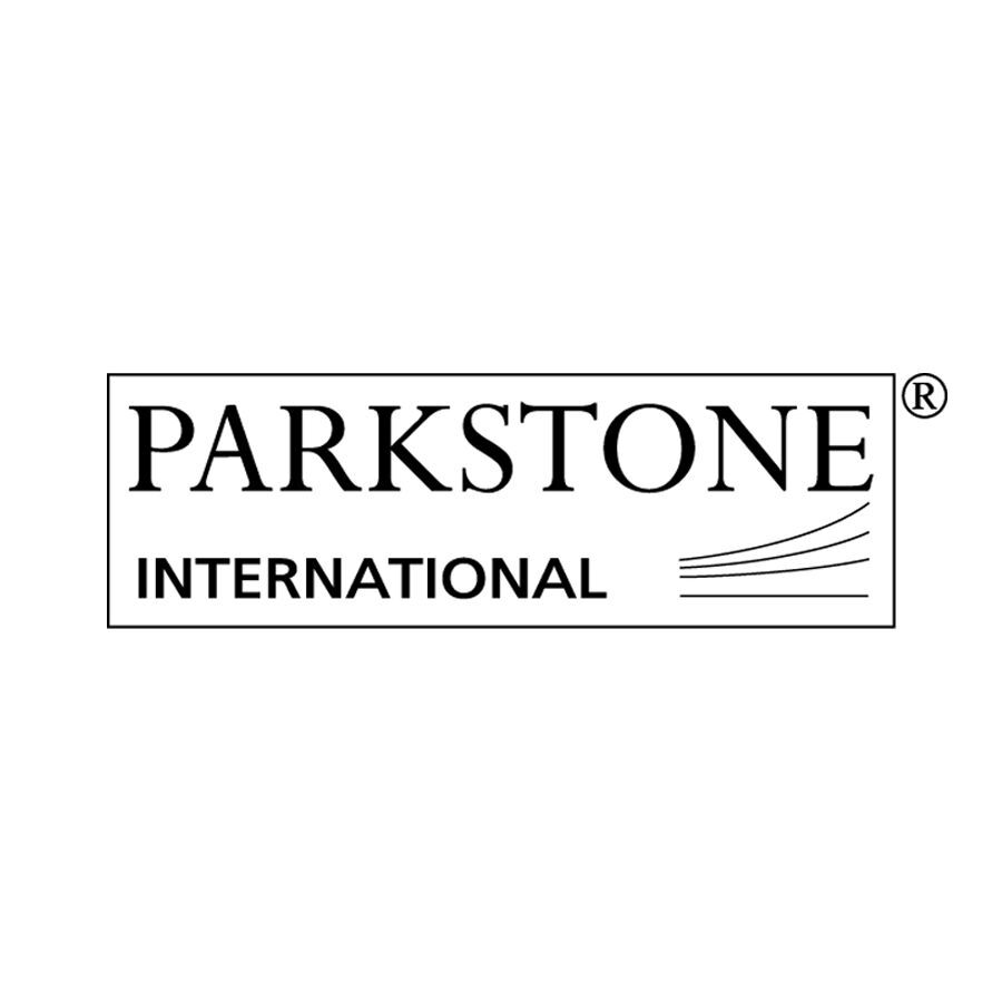 The Enigmatic Genius of Johannes Vermeer | Parkstone International Podcast