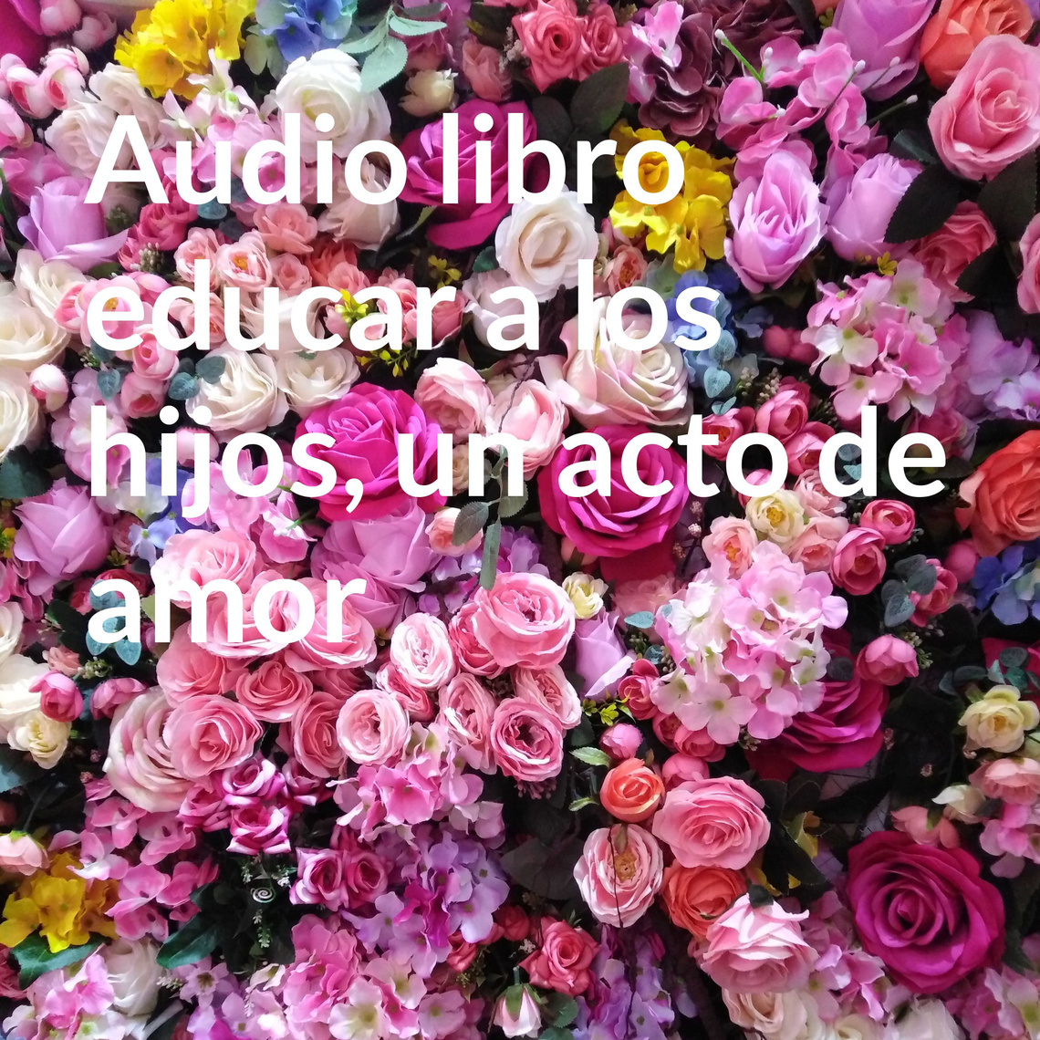 Capítulo 6 la adolescencia, amor incondicional | Podcast de Audio libro educar a los hijos, un ...