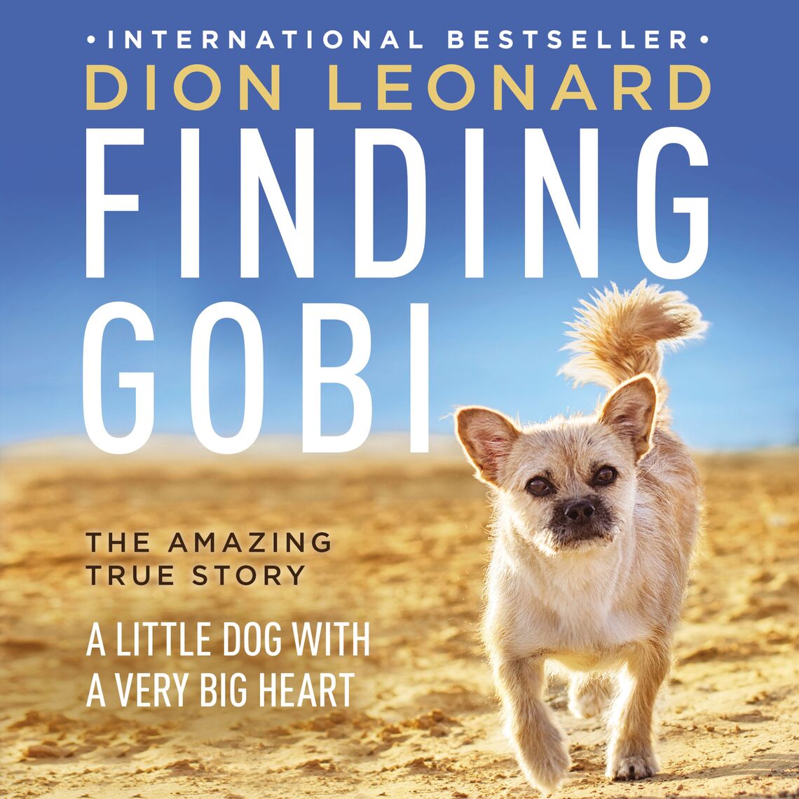 Finding Gobi by Dion Leonard - Audiobook | Everand