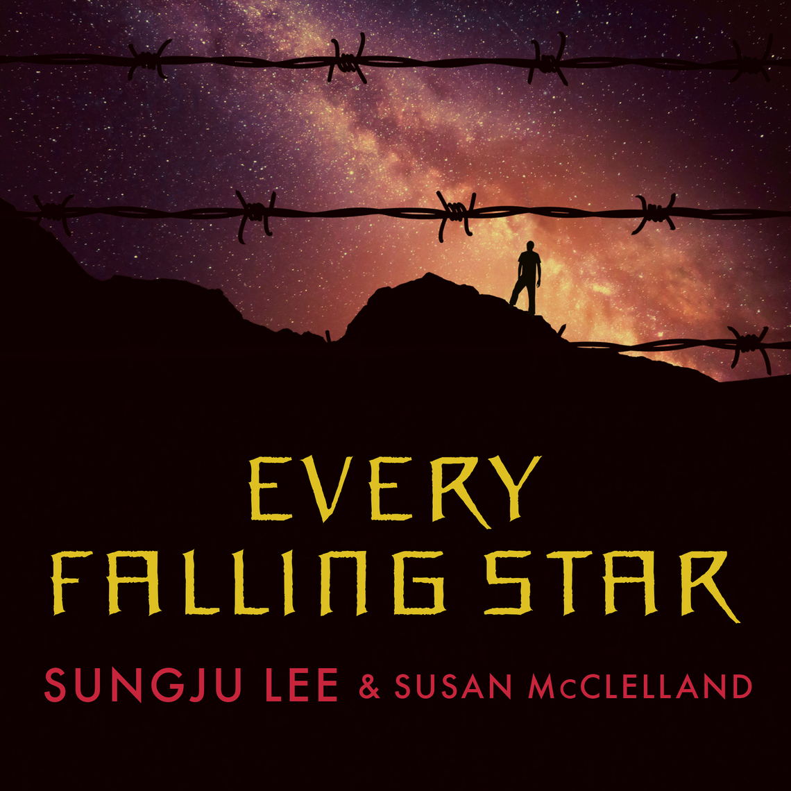 Every Falling Star by Sungju Lee, Susan McClelland (Audiobook) - Read ...