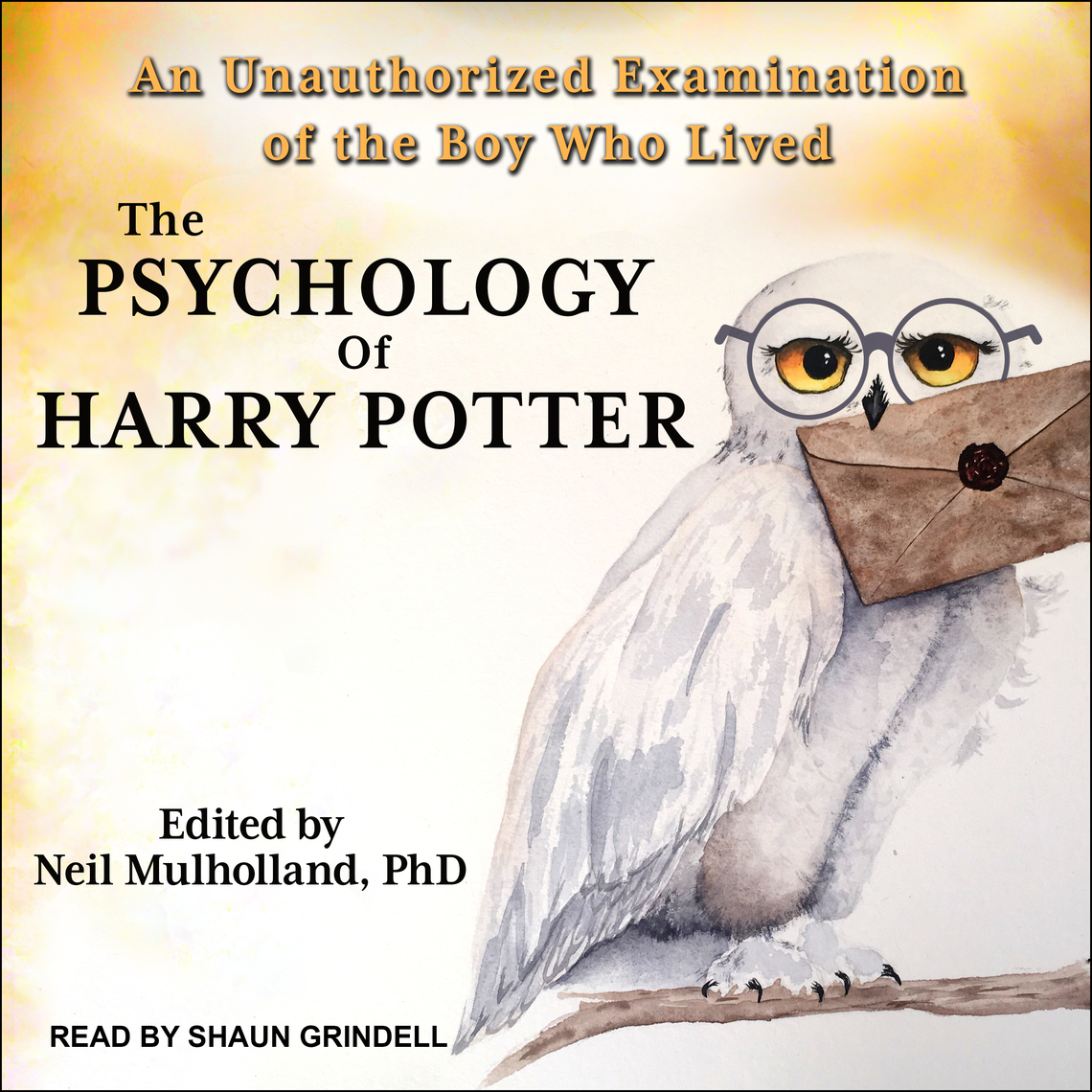 The Psychology of Harry Potter by Neil Mulholland, PhD (Audiobook ...