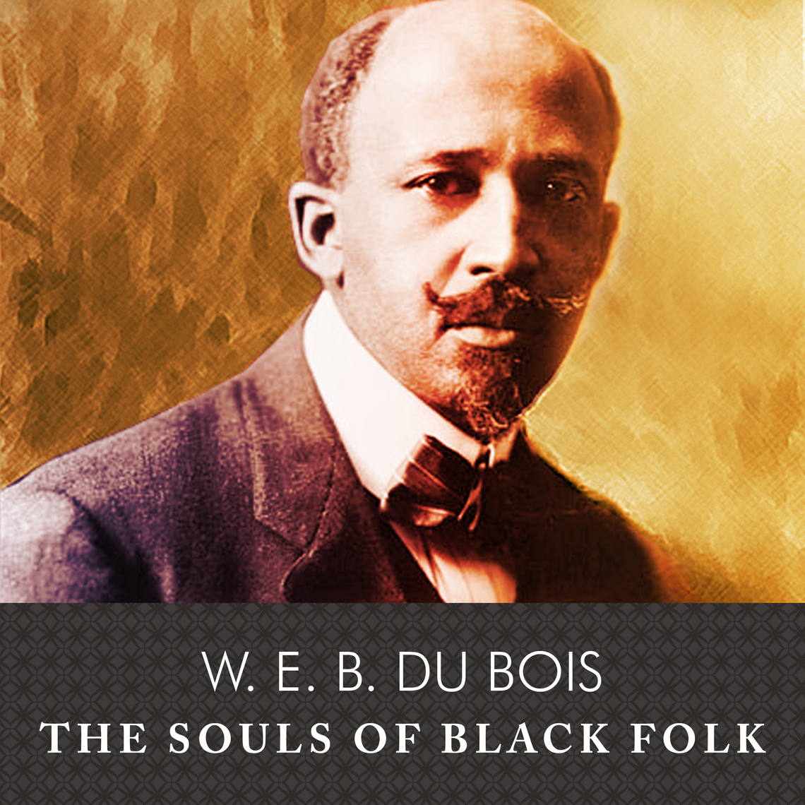 The Souls of Black Folk by W. E. B. Du Bois (Audiobook) - Read free for ...
