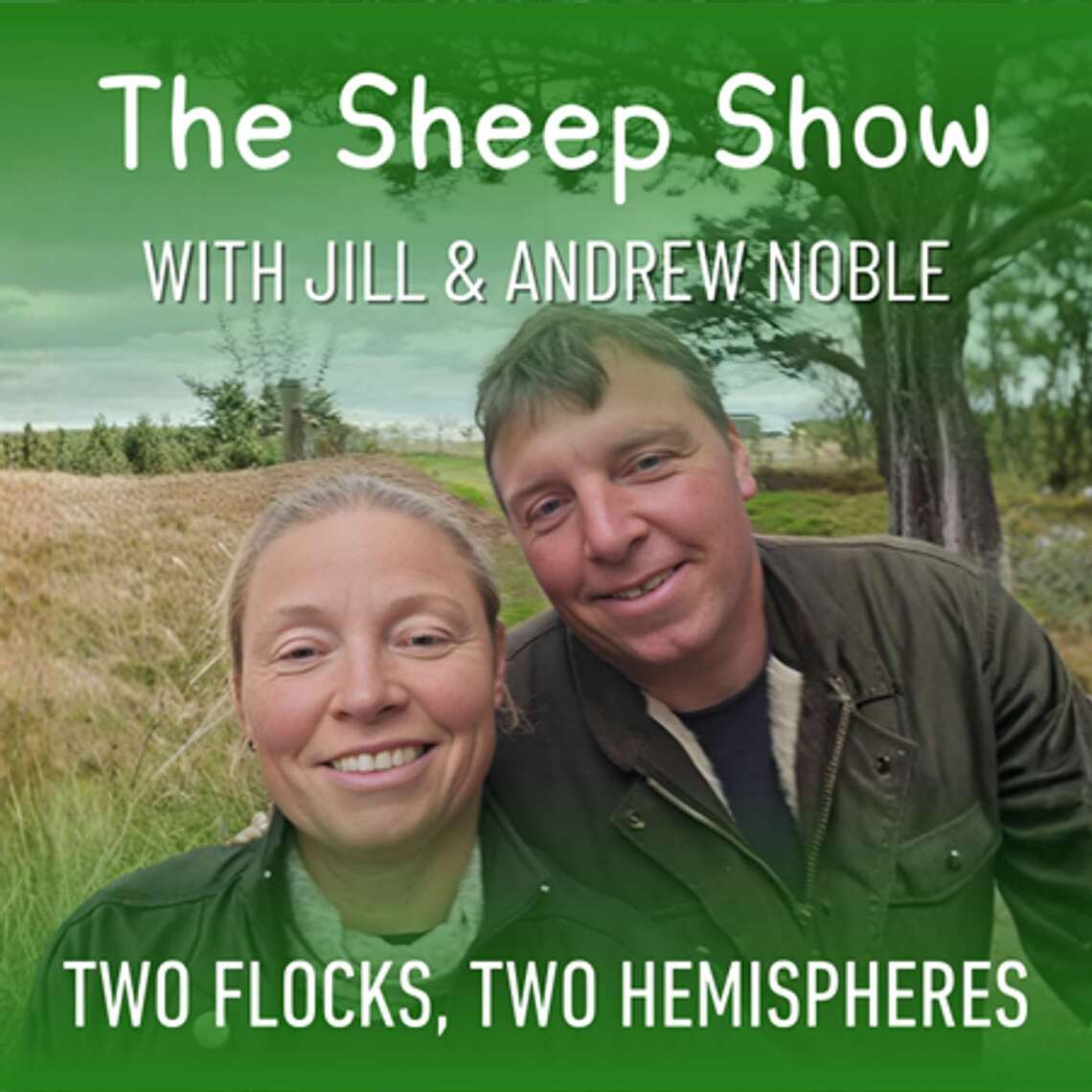 The kits you need for lambing and what is new in my kit! | The Sheep ...