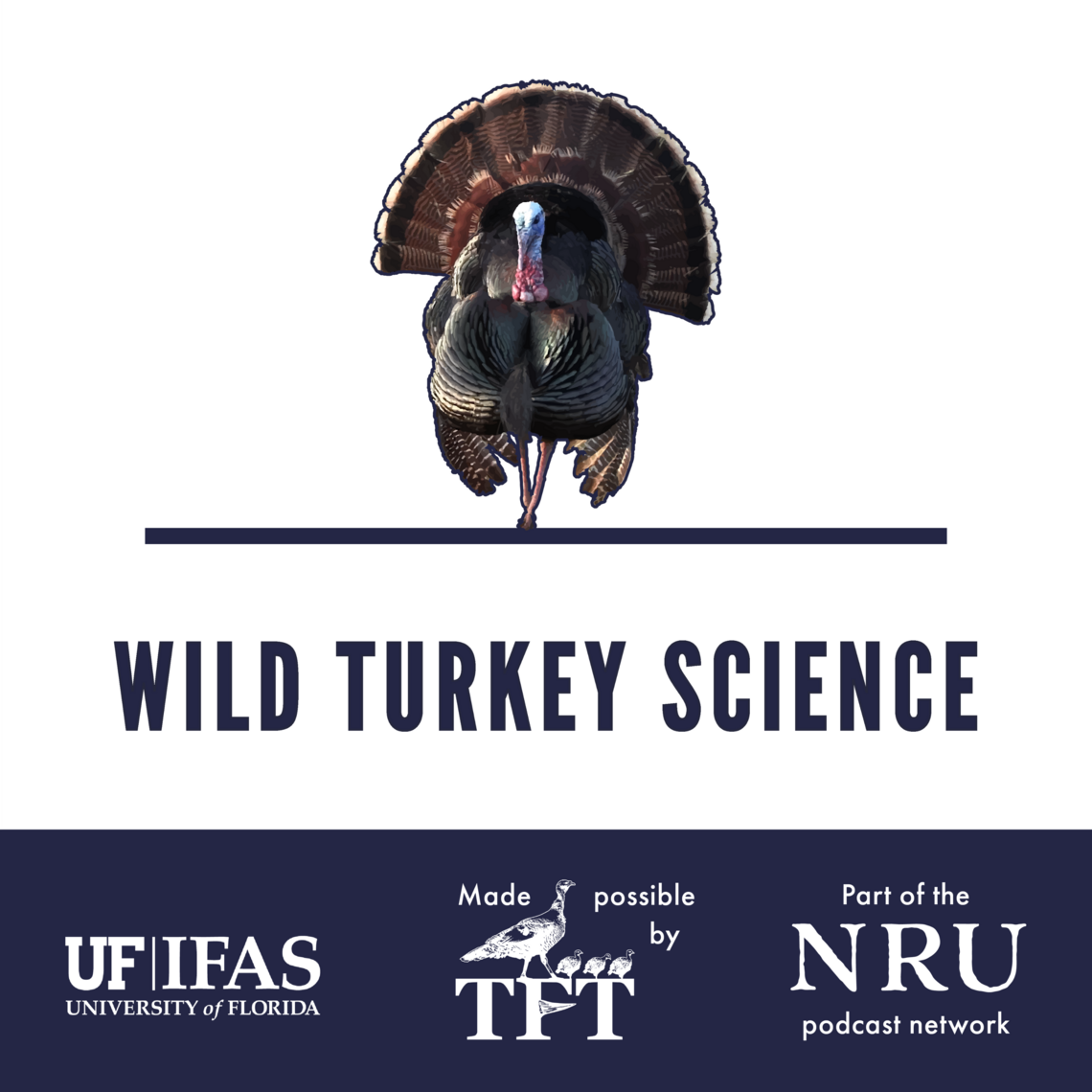 TX state update | #40 | Wild Turkey Science Podcast