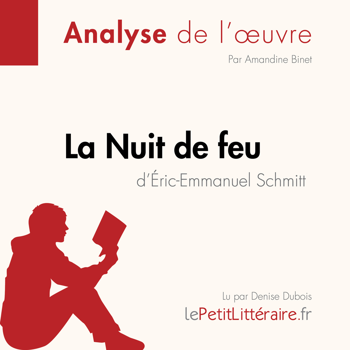 la-nuit-de-feu-d-ric-emmanuel-schmitt-fiche-de-lecture-de