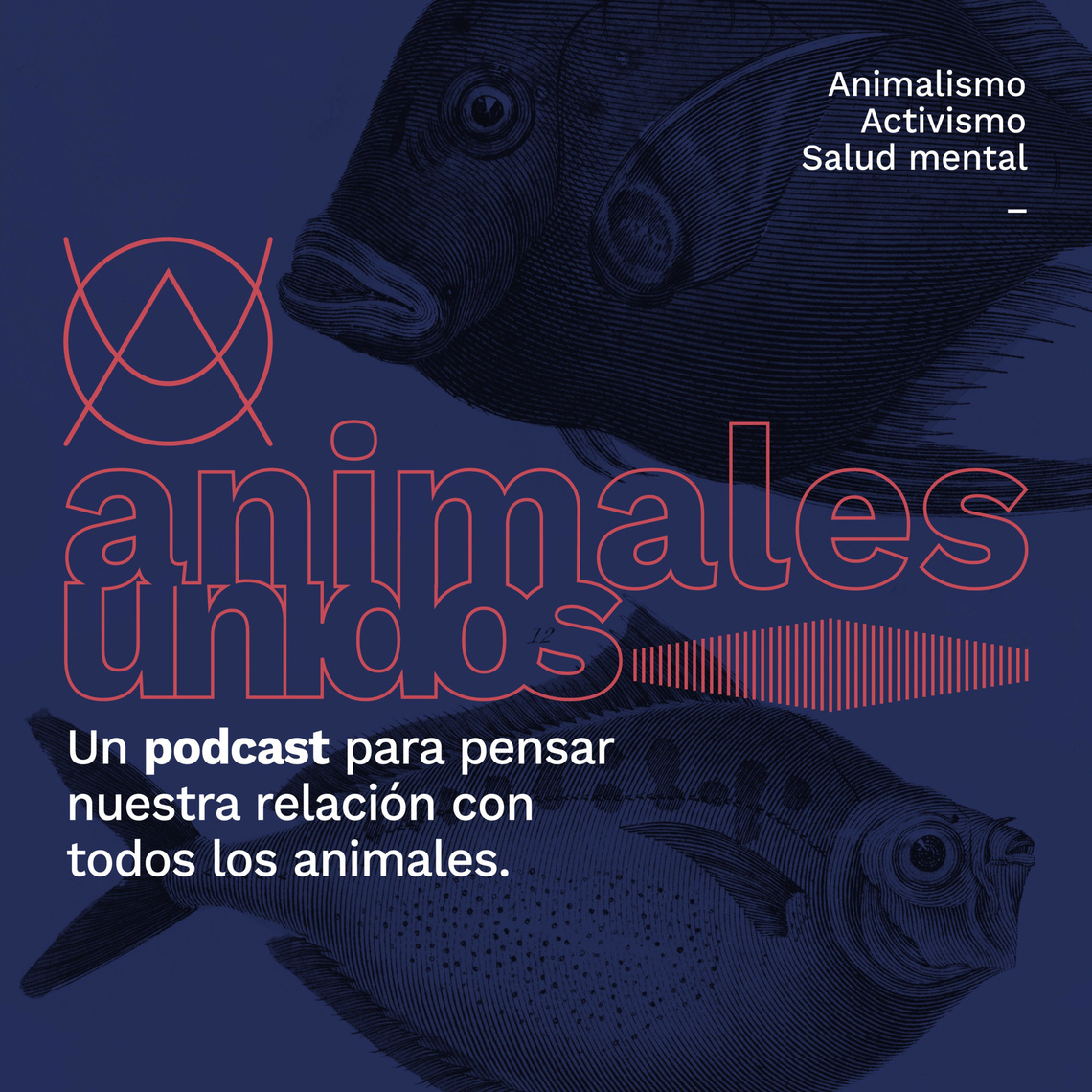 Personas Ratas: ¿cómo son realmente los animales que son utilizados ...