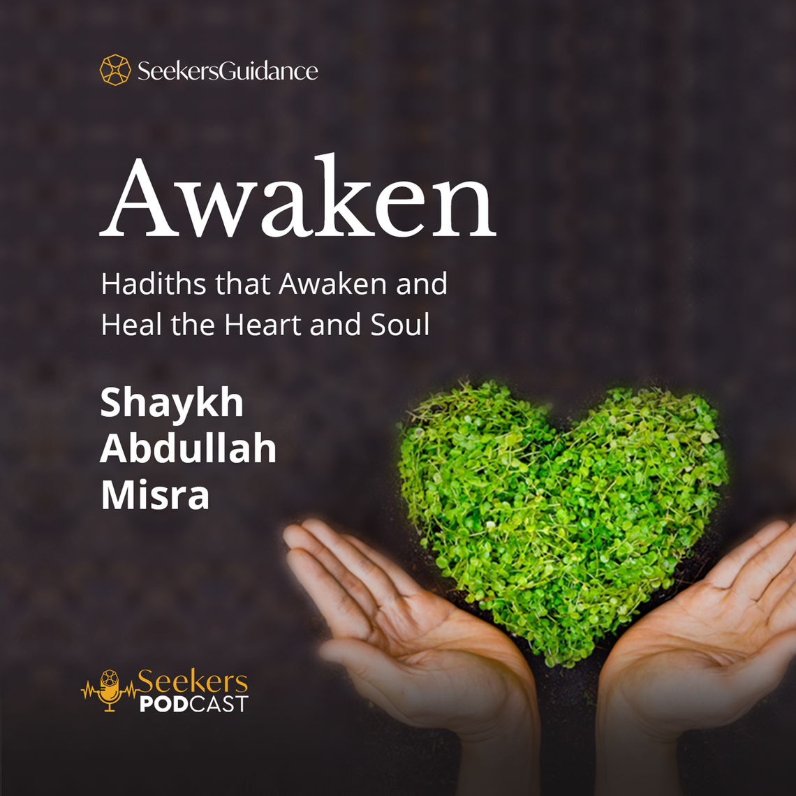 01- The Reality of this World – Awaken- Shaykh Abdullah Misra | Awaken ...