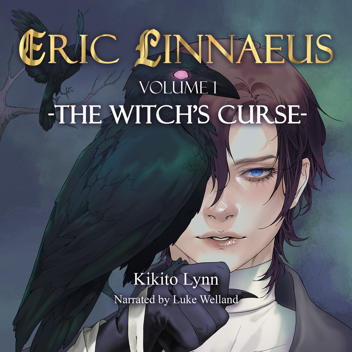 Eric Linnaeus - The Witch's Curse by Kikito Lynn (Audiobook) - Read ...