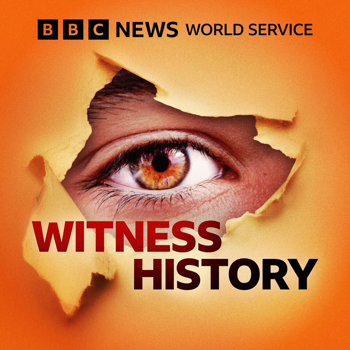 America's First Female Rabbi | Witness History Podcast