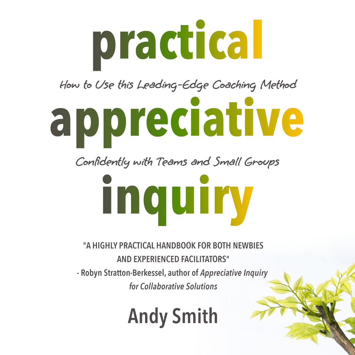 Practical Appreciative Inquiry by Andy Smith (Audiobook) - Read free ...