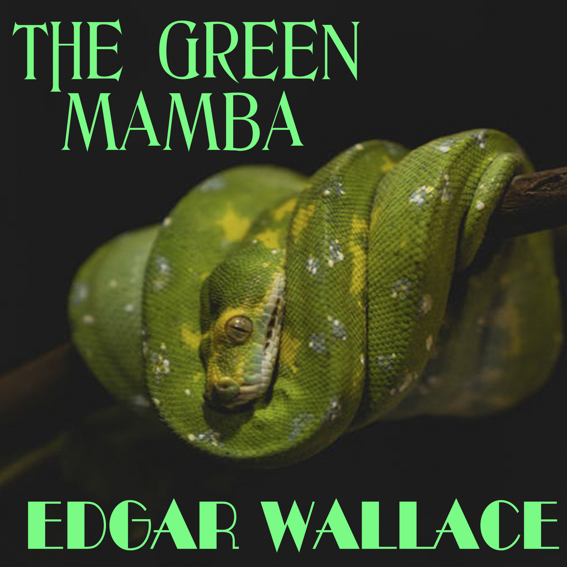 The Green Mamba by Edgar Wallace (Audiobook) - Read free for 30 days