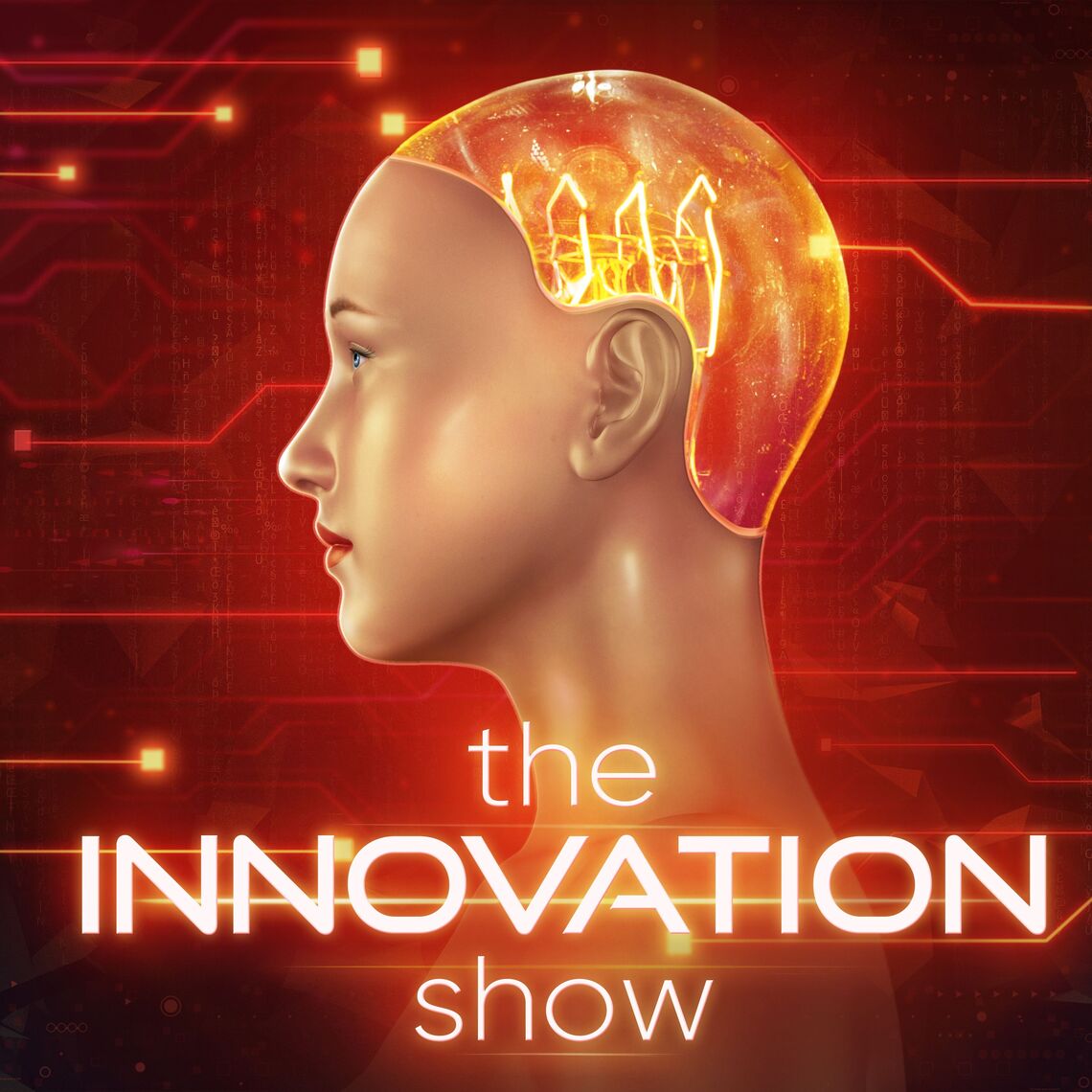 Gary Hamel - Competence Based Competition | The Innovation Show Podcast