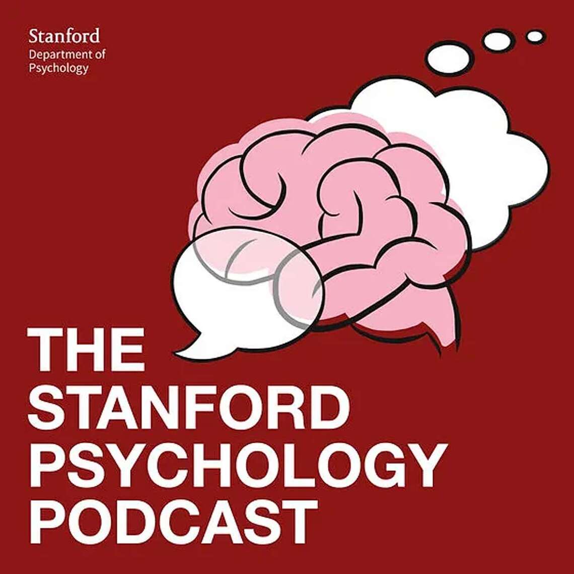 157 - Diyi Yang: Socially Aware Large Language Models | Stanford Psychology Podcast Podcast