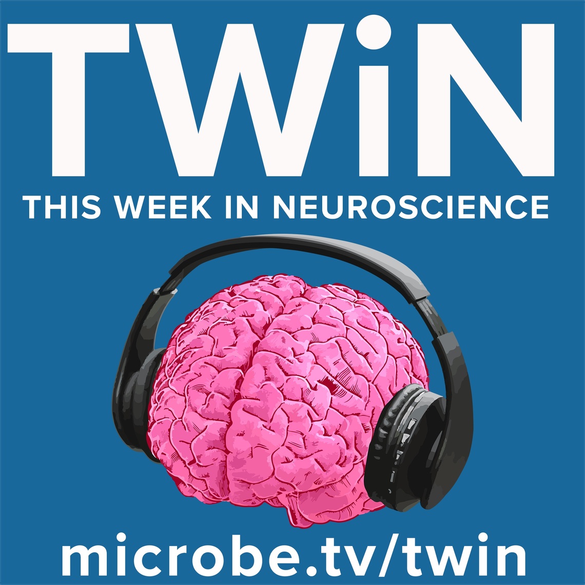 TWiN 64: How the brain decides what we see | This Week in Neuroscience ...