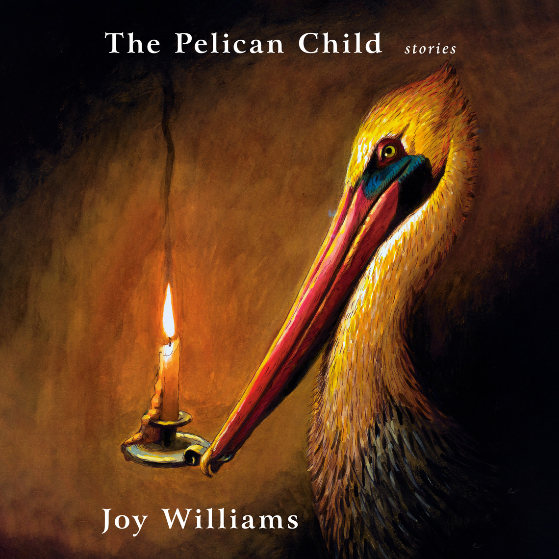 The Pelican Child by Joy Williams (Audiobook) - Read free for 30 days