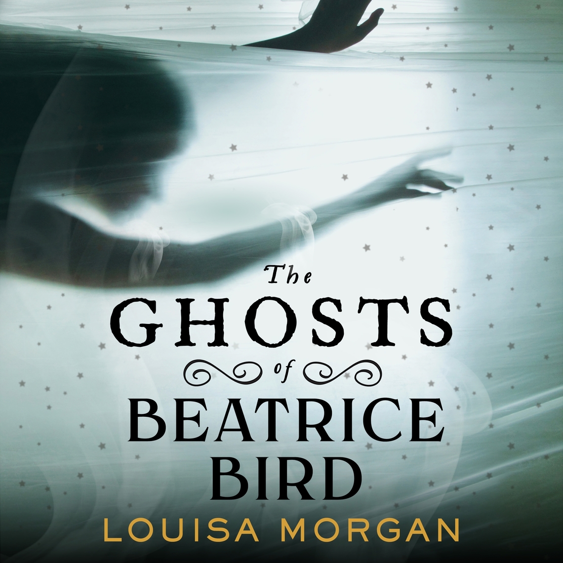 The Ghosts of Beatrice Bird by Louisa Morgan (Audiobook) - Read free ...
