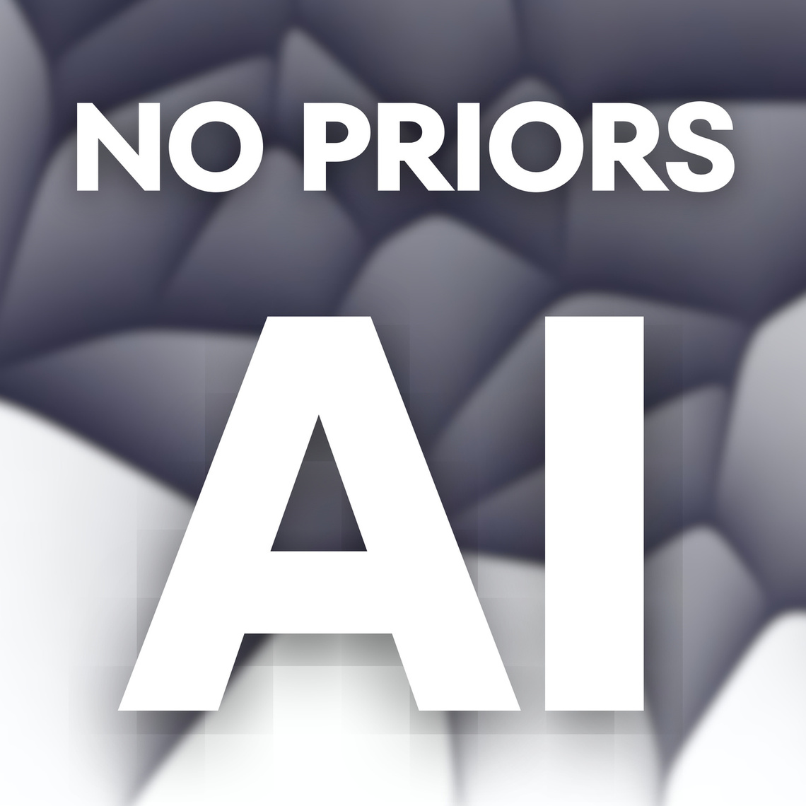 New Research Exposes Social Media's Hidden Costs | No Priors AI Podcast