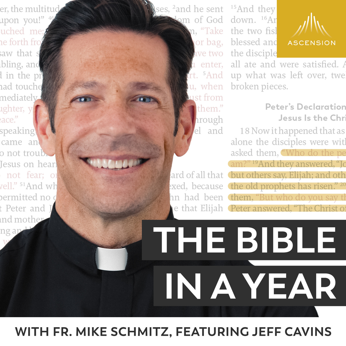 Day 24: Tears of Joy (2026) | The Bible in a Year (with Fr. Mike ...