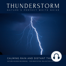 Calming Rain and Distant Thunder - Thunderstorm Nature Sounds Recording ...