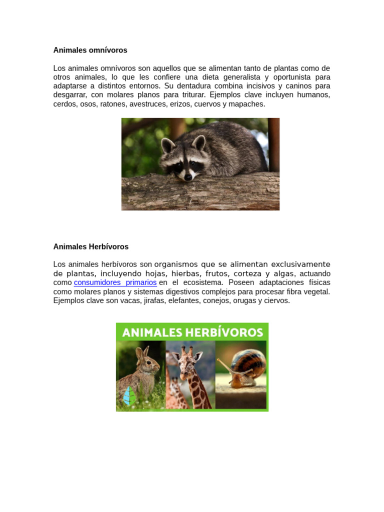 Investigación Silvia Cojón 3ro b | PDF