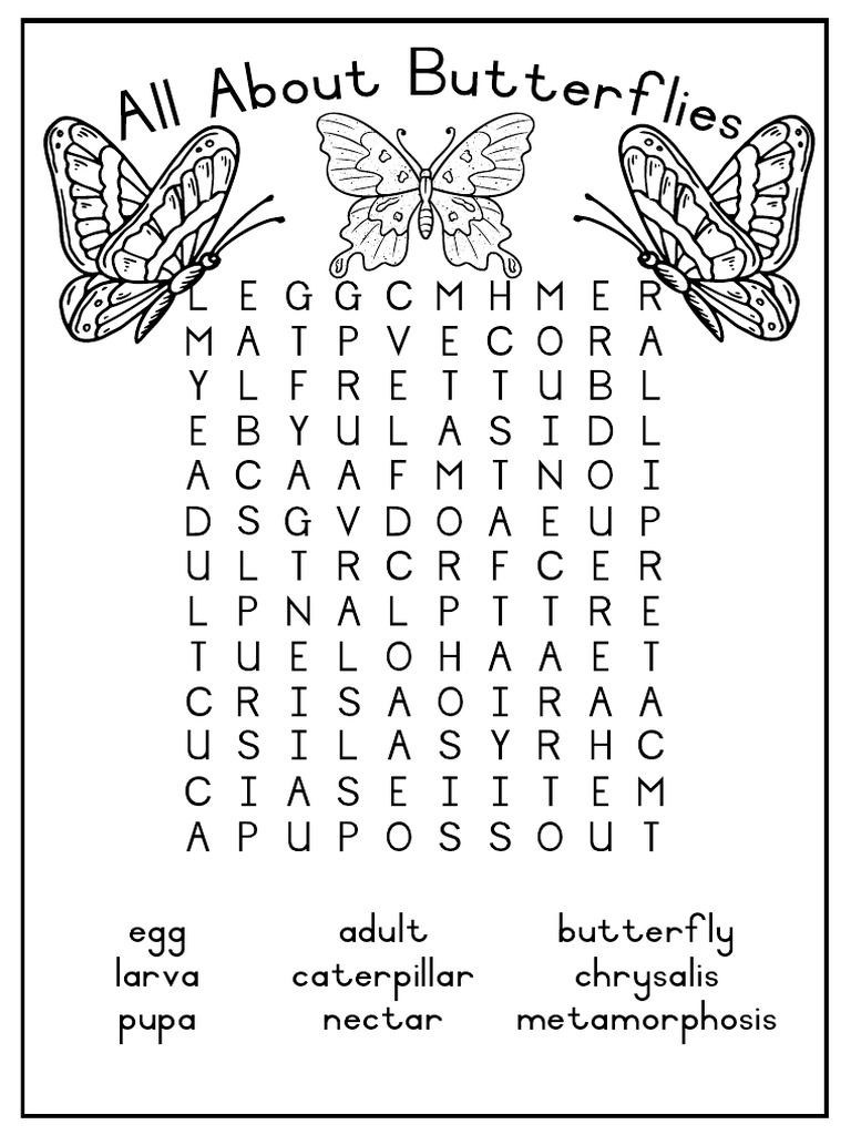 Butterfly Word Search | PDF | Pupa | Butterfly