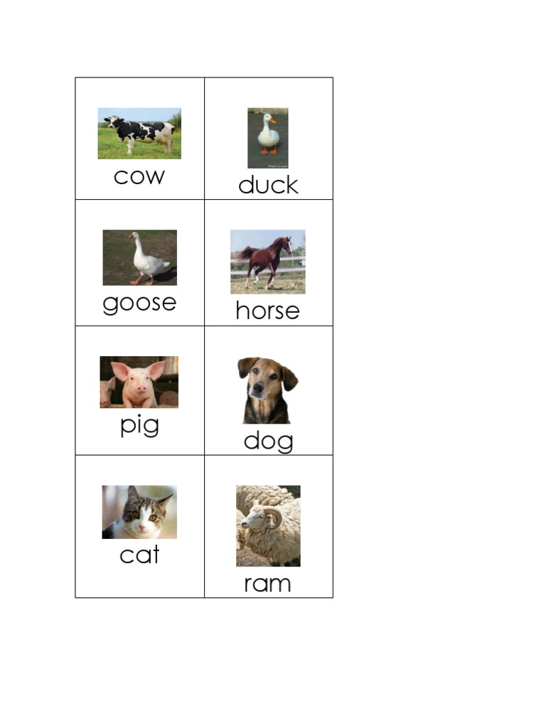 Farm Animals and Life | PDF