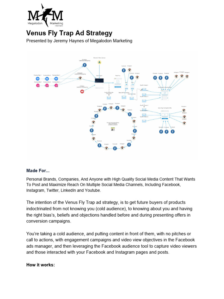 Venus Fly Trap Ad Strategy 2 | PDF | Advertising | Social Media