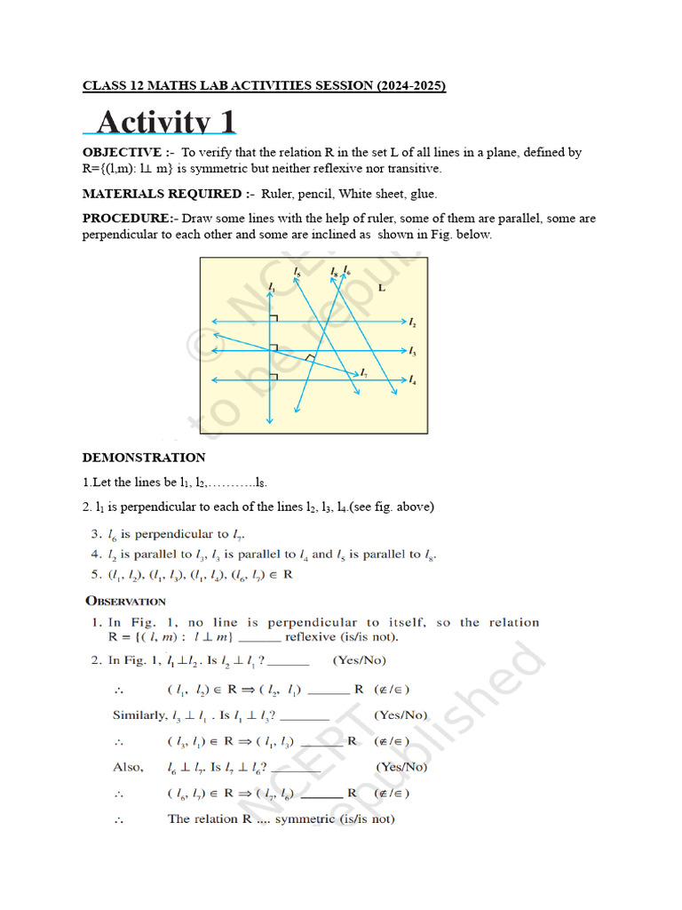 Class 12 Maths Lab Activities | PDF
