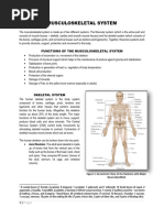 Understanding the Skeletal System | PDF | Skeleton | Bone
