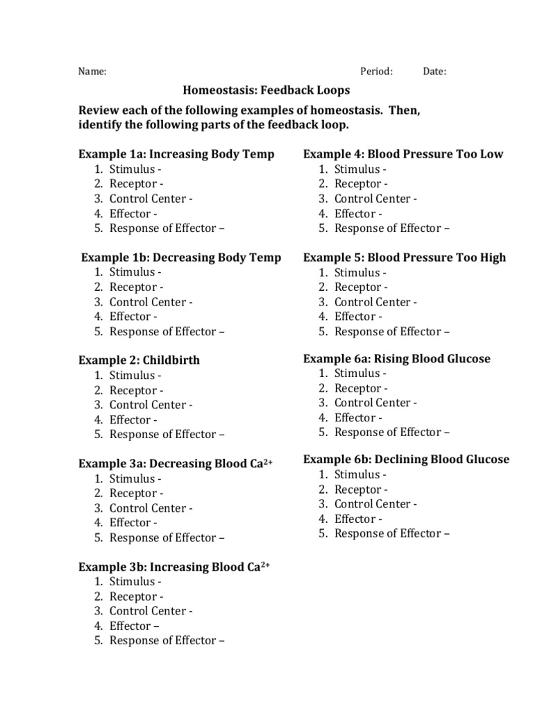 Homeostasis - Feedback Loops | PDF | Homeostasis | Physiology