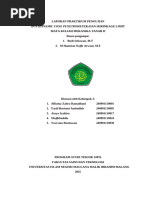 Laporan Uji DCP untuk Perkerasan Jalan | PDF