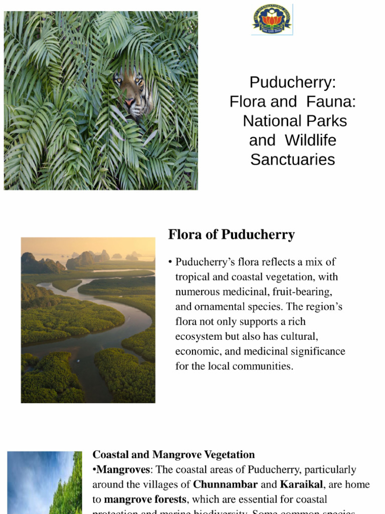 Flatten - G3 - PPT - 4B - T2 Puducherry Flora and Fauna | PDF