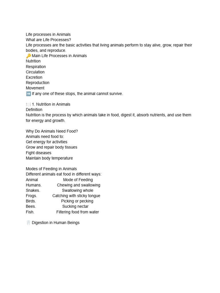 Life Processes in Animals | PDF | Digestion | Lung