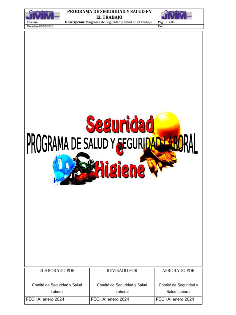Programa de SSL 2024 | PDF | Seguridad y salud ocupacional | Derecho ...