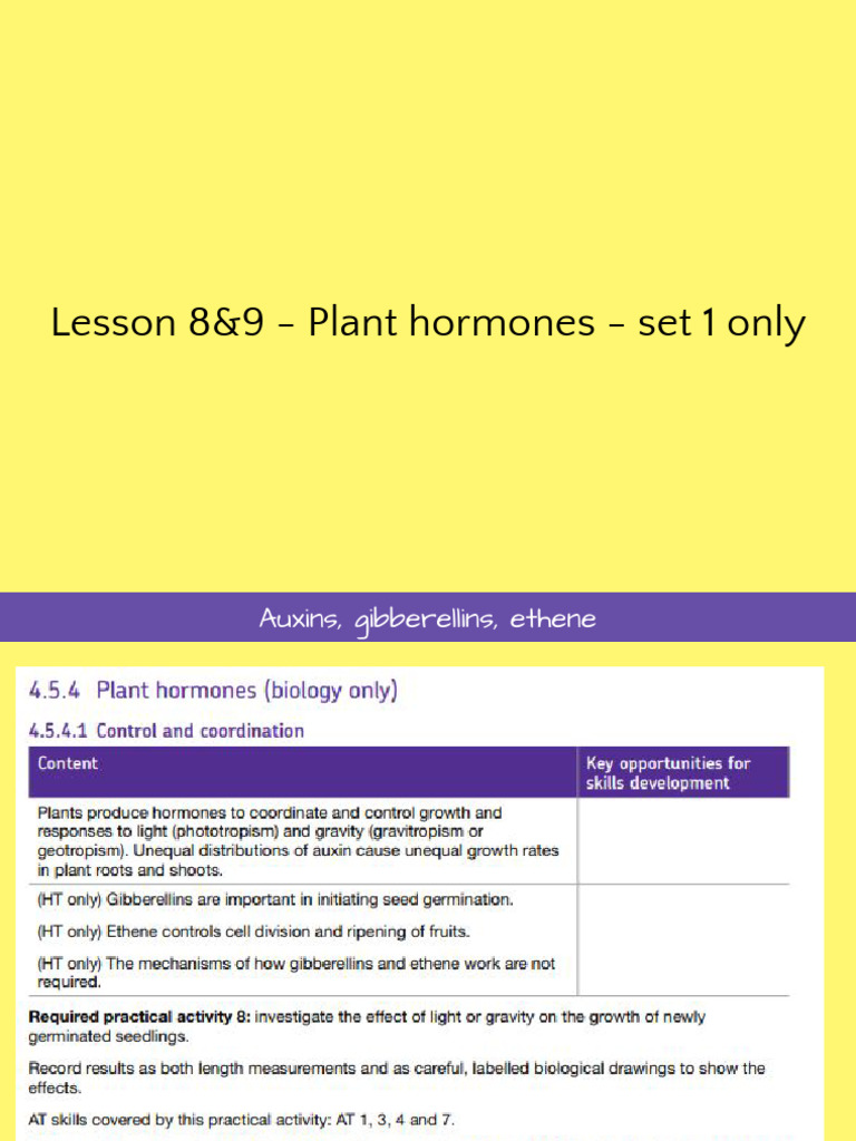 Lesson 8&9 - Plant Hormones - Default - SEPS | PDF | Auxin | Plants