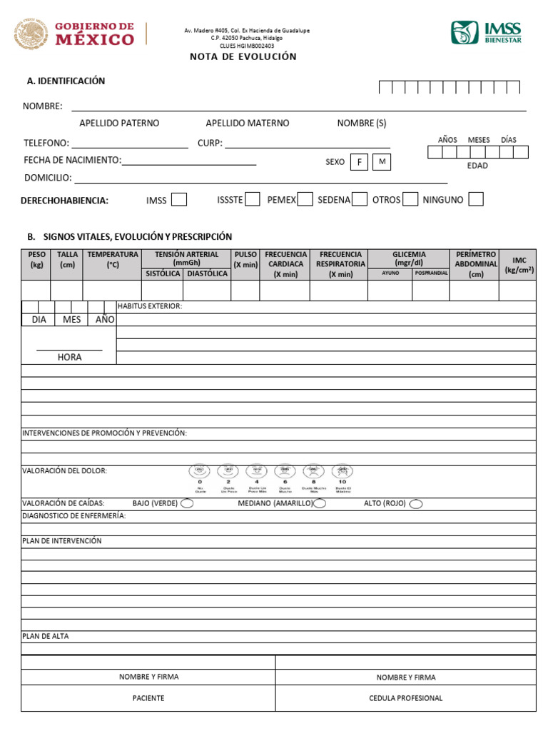 Hoja de Evolución Enfermeria_imss b 2024 | PDF | Presión sanguínea ...