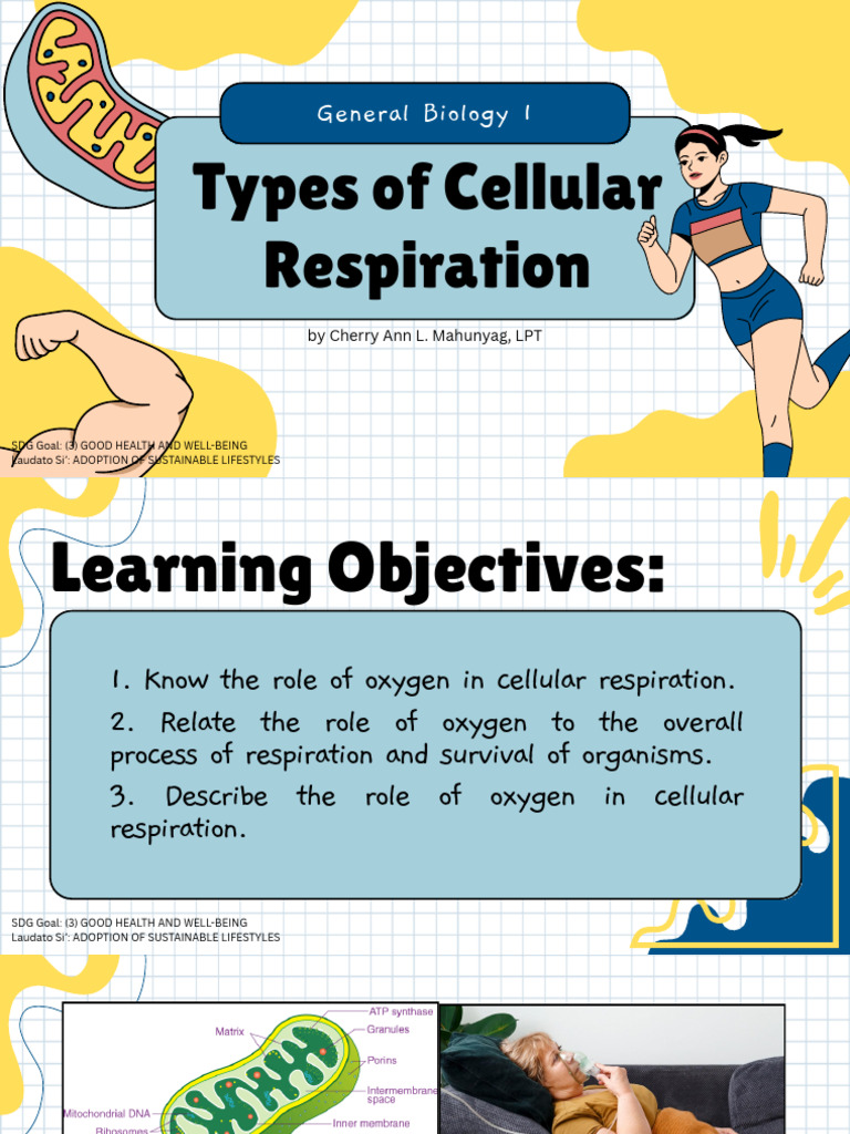 Types of Cellular Respiration | PDF | Cellular Respiration | Respiration