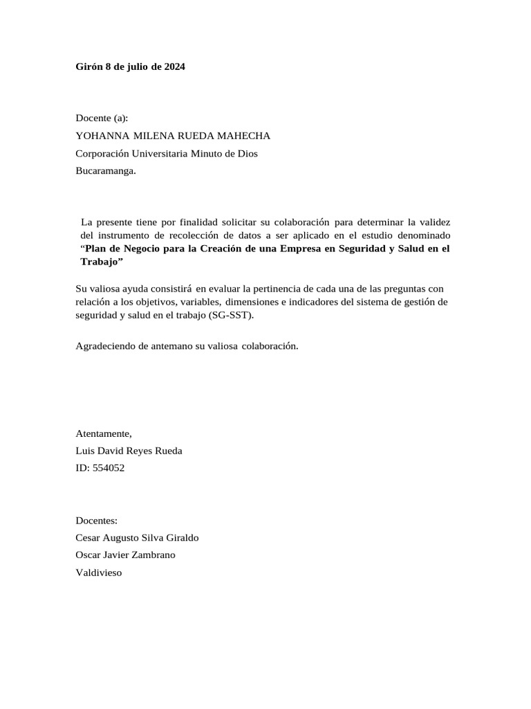 FORMATO VALIDACIÓN DE INSTRUMENTO PROYECTO DE GRADO DAVID REYES | PDF ...