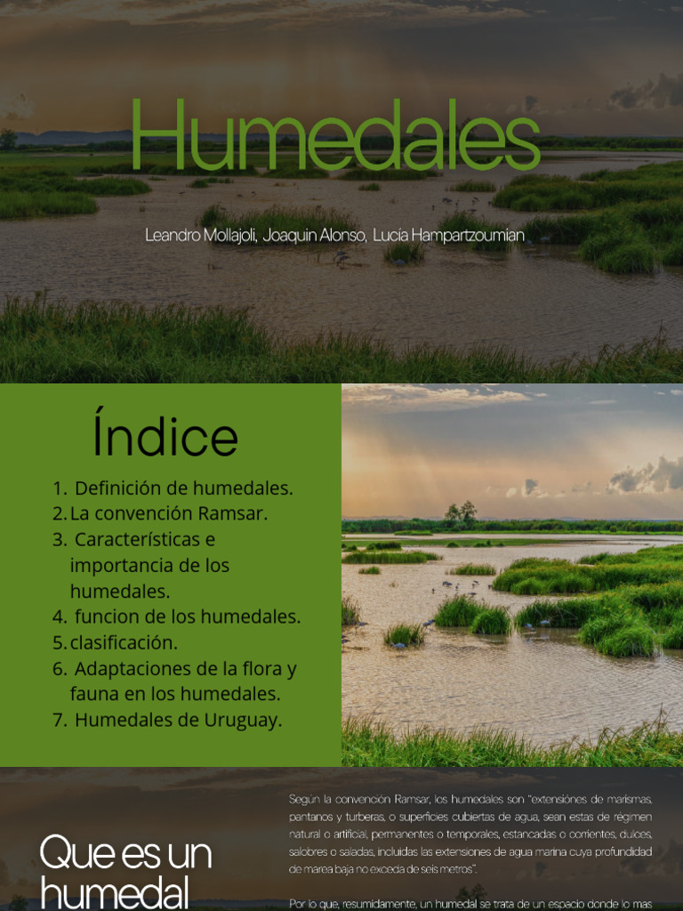 humedales 5to | PDF