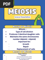 Meiosis: PMAT Stages Explained | PDF