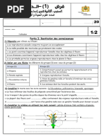 Contrôle SVT 2AC Semestre 2 avec Corrigé | PDF | Système reproducteur ...