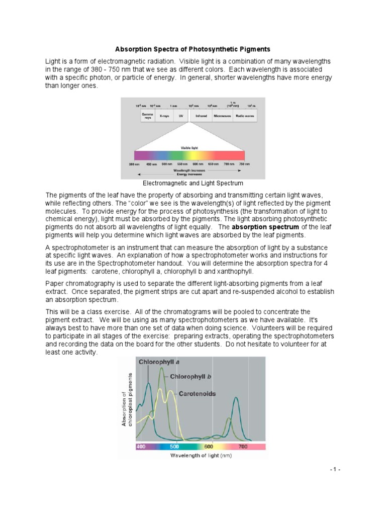 Absorption Spectra 101 | PDF | Electromagnetic Spectrum | Absorption ...
