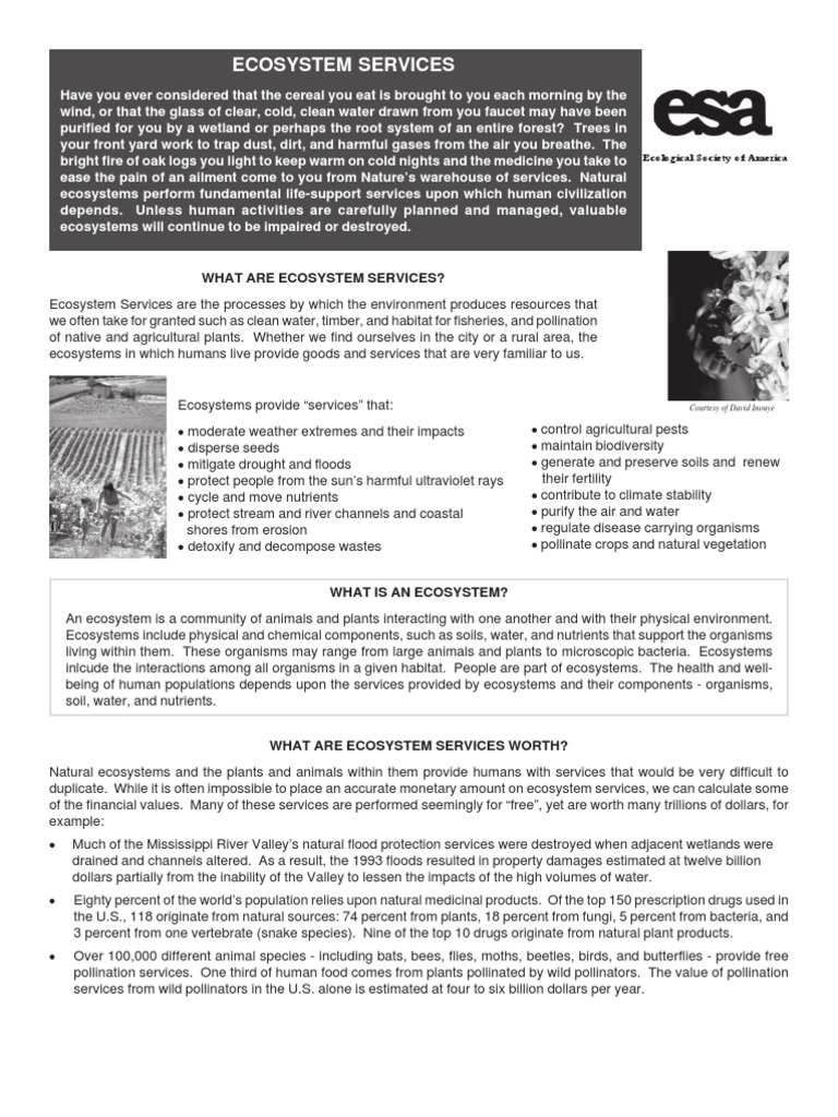 Ecosystem Services Pdf Ecosystem Services Ecosystem