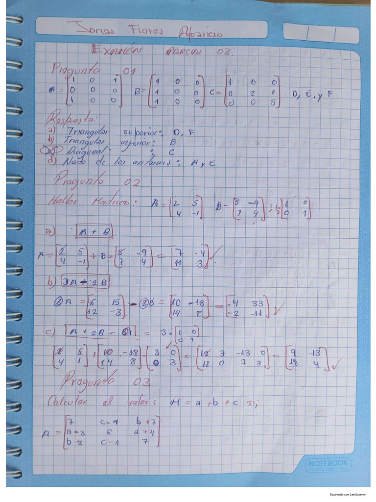 Examen de Álgebra | PDF