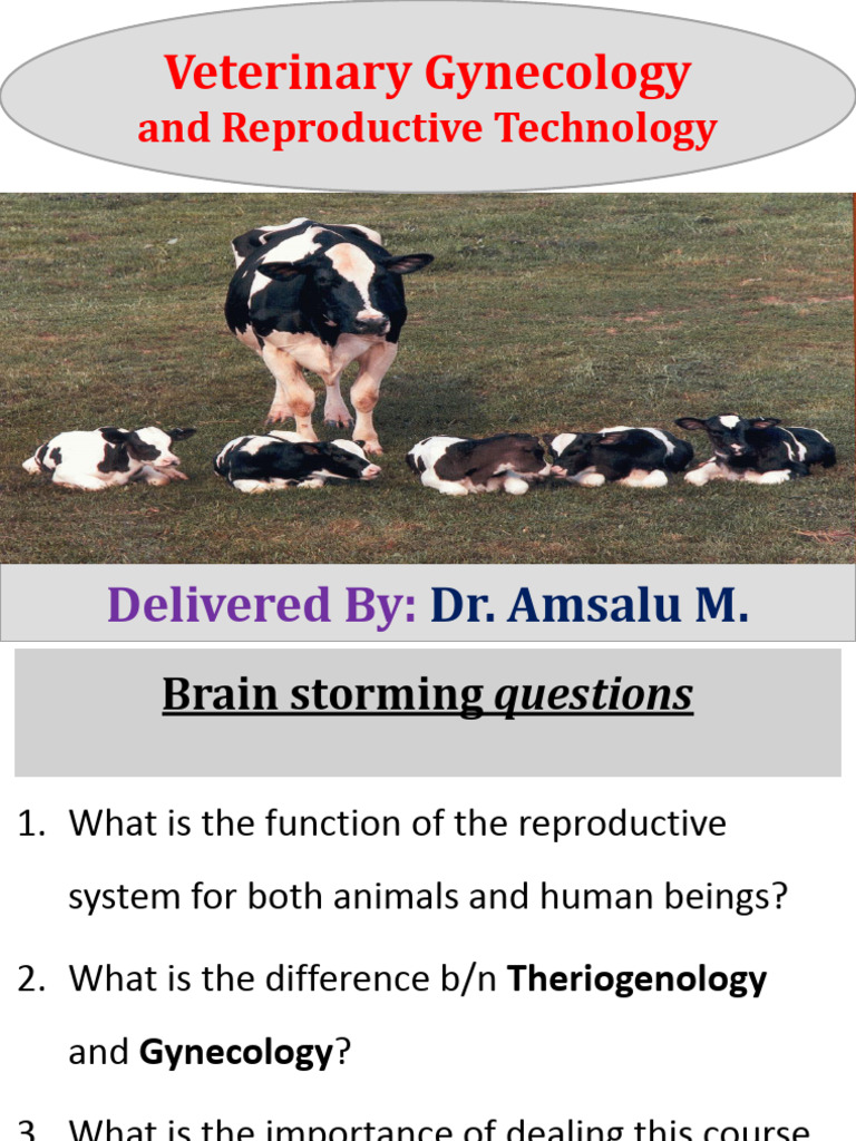 Veterinary Gynecology Teaching Material | PDF | Luteinizing Hormone ...