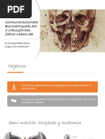 Antrostomía Maxilar: Información y Riesgos | PDF | Cirugía | Anestesia